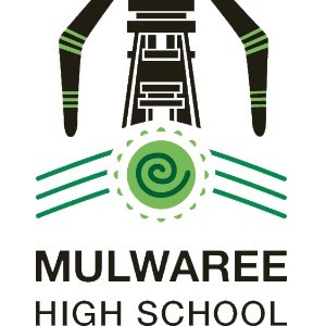 The Push-Up Challenge - Mulwaree High School