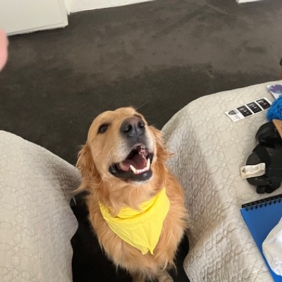 The Push-Up Challenge : Register